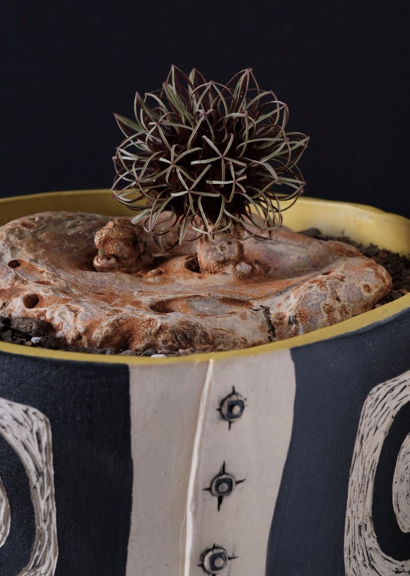The Buffalo Turd – JTW Ceramics