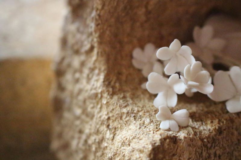 Katie Spragg – Artist Profile – JTW Ceramics