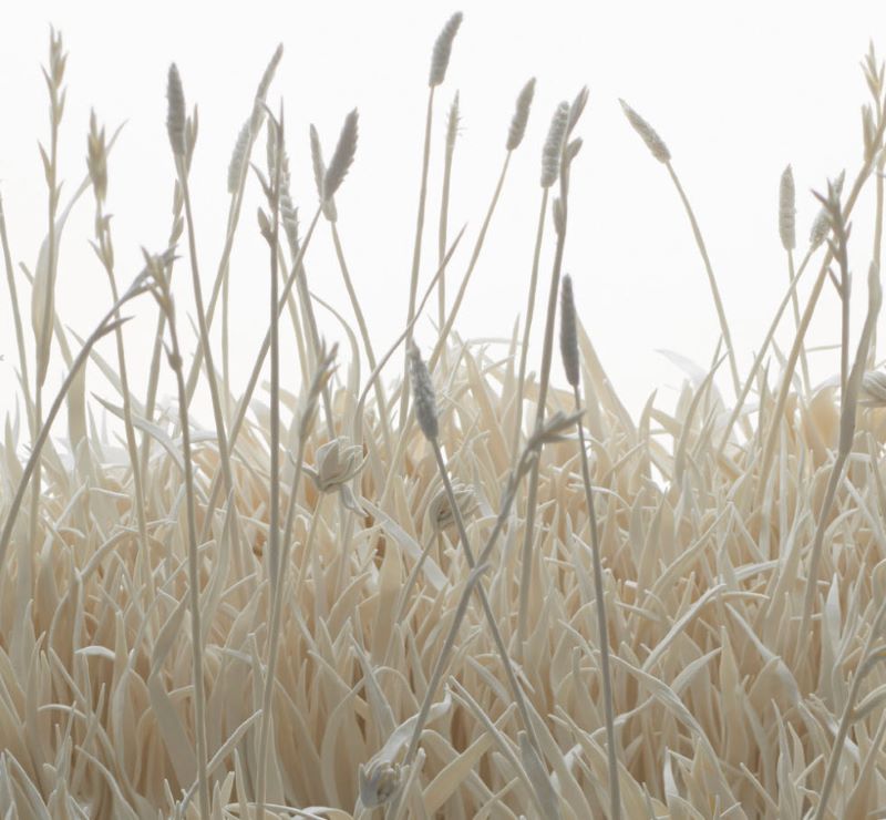 Katie Spragg – Artist Profile – JTW Ceramics