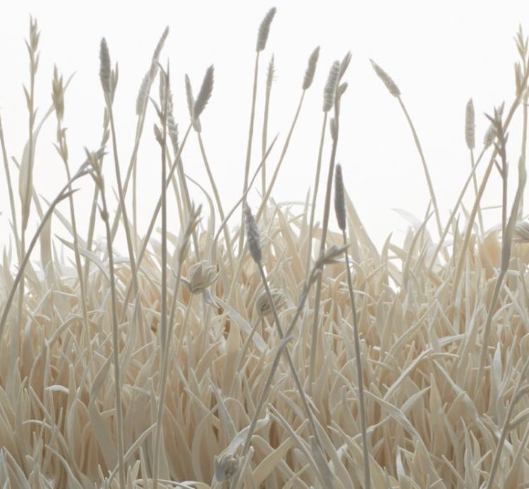 Katie Spragg – Artist Profile – JTW Ceramics