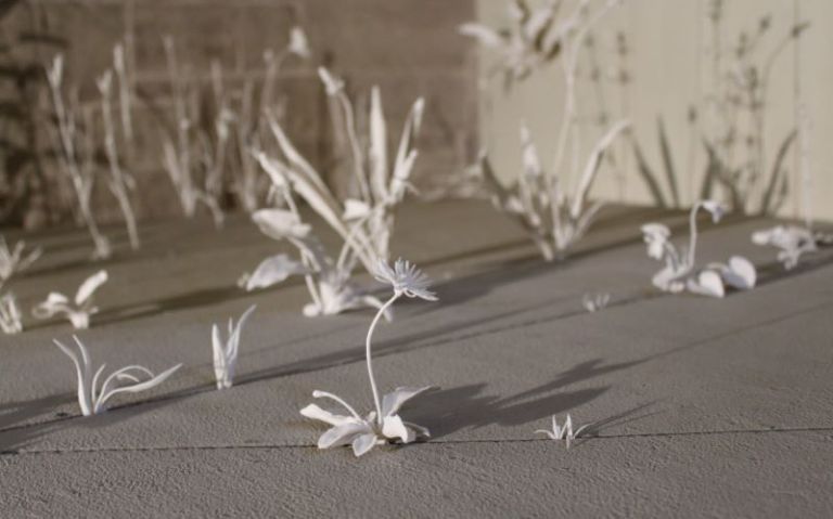 Katie Spragg – Artist Profile – JTW Ceramics