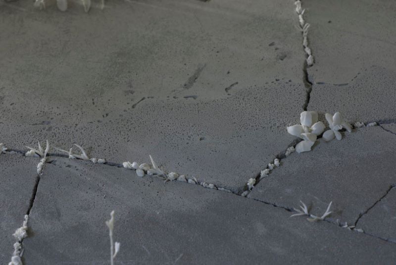 Katie Spragg – Artist Profile – JTW Ceramics